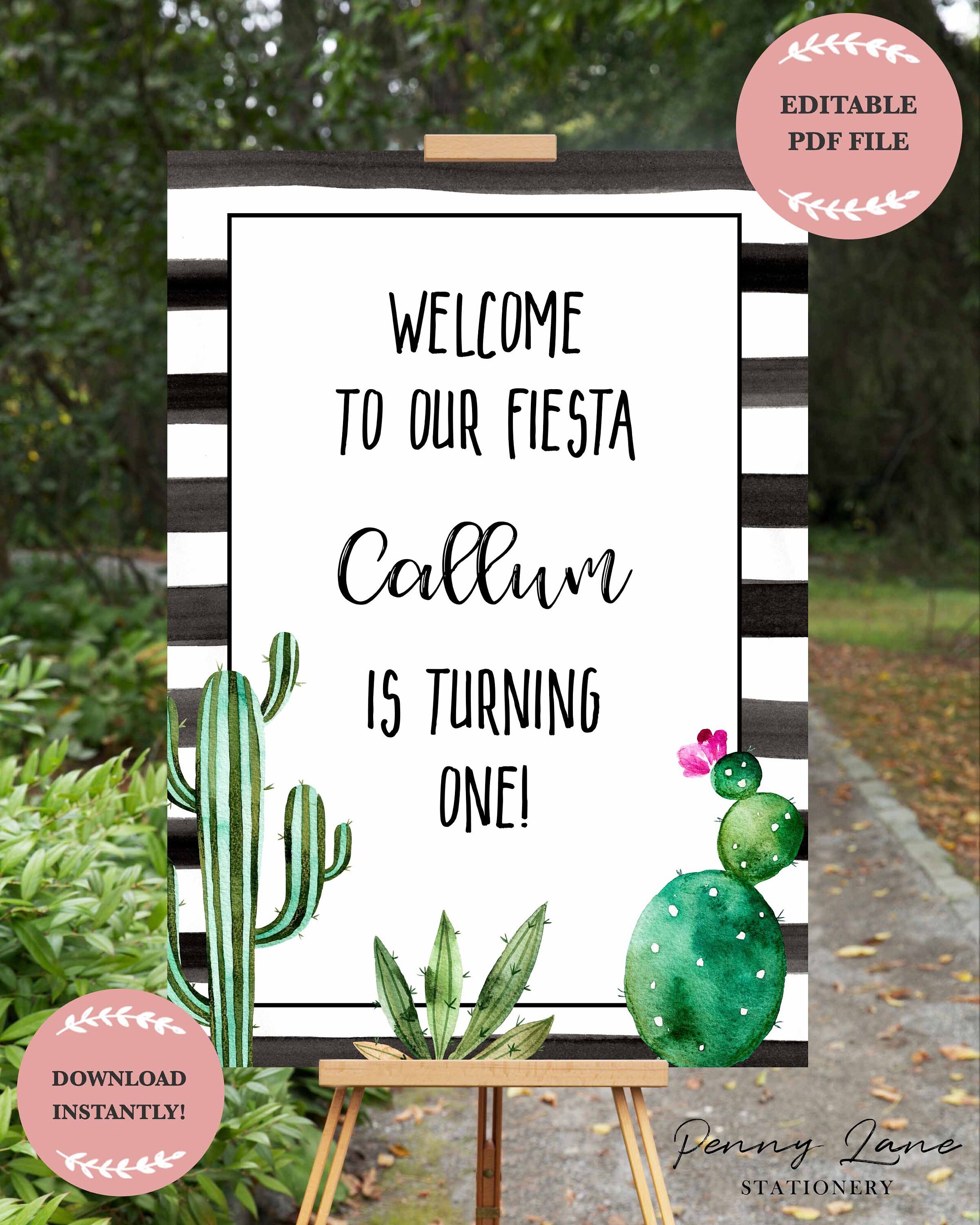 EDITABLE PDF Cactus Food Tents Cactus Party Decorations | Etsy