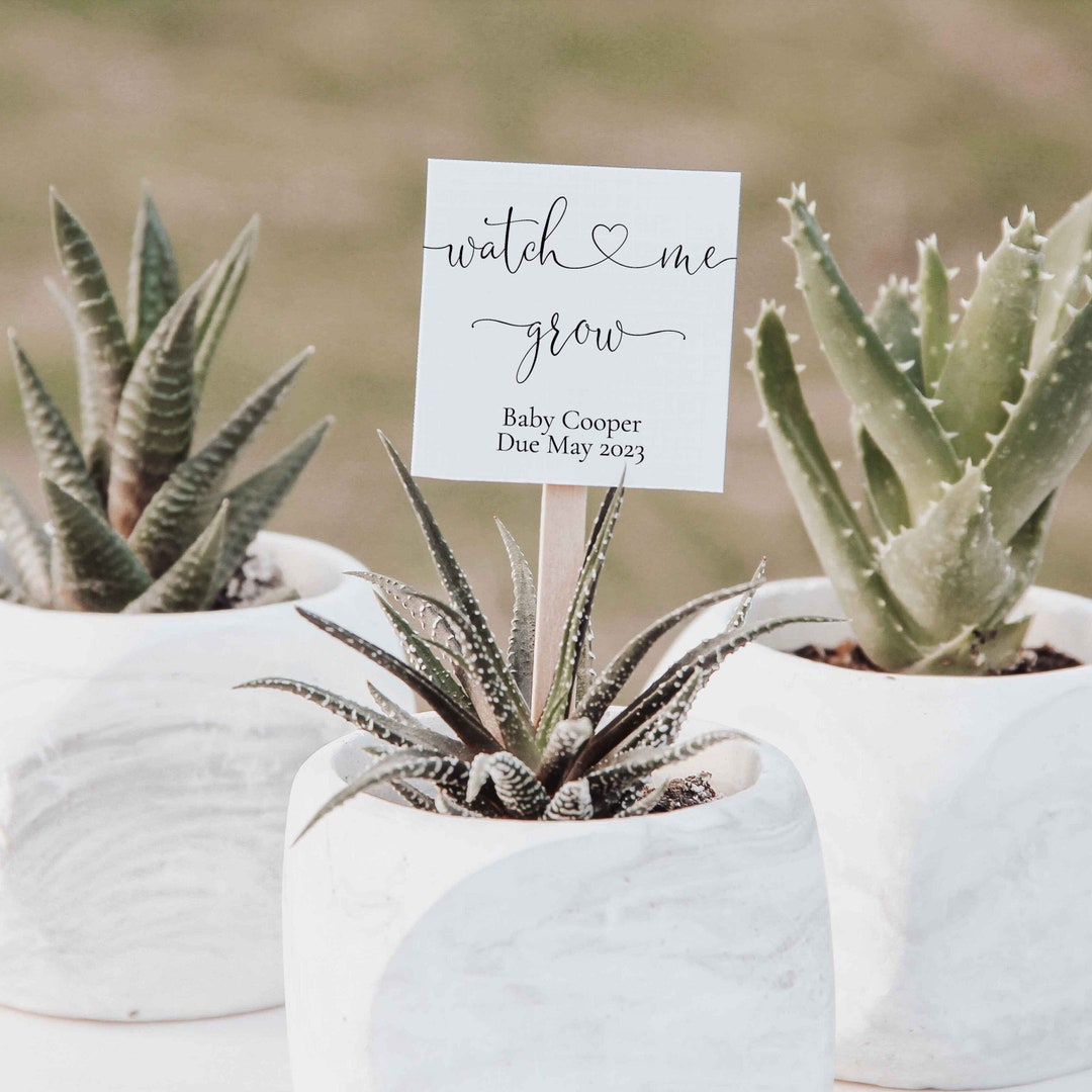 Succulent Favor Tag, Watch Me Grow Favour Tag, Baby Shower Stickers ...
