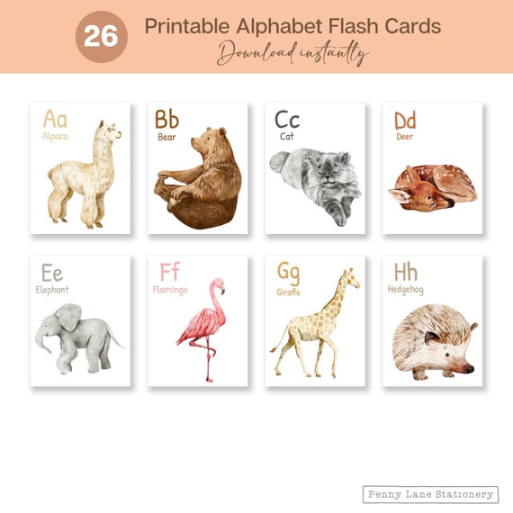 Printable ABC Flash Cards, Alphabet Cards, Educational Resources for ...