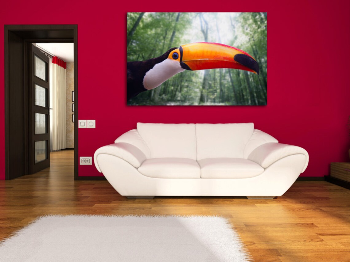 Toucan Wall Art Canvas Set for Wall Decoration. Colorful Print - Etsy