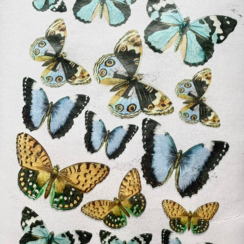 Wafer Paper Butterflies - Etsy