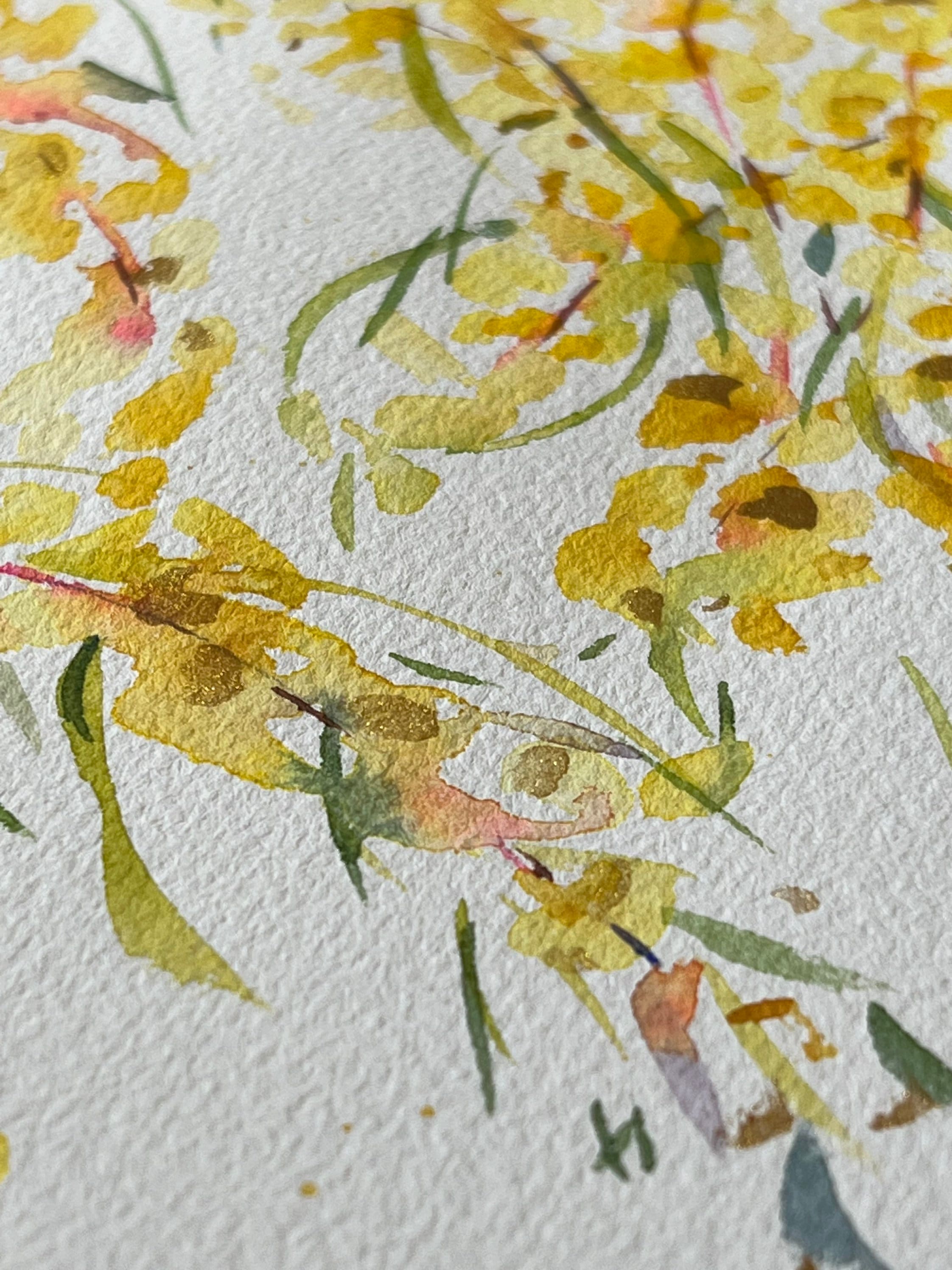 Original Watercolor Wattles Painting Golden Wattle Artwork - Etsy Australia