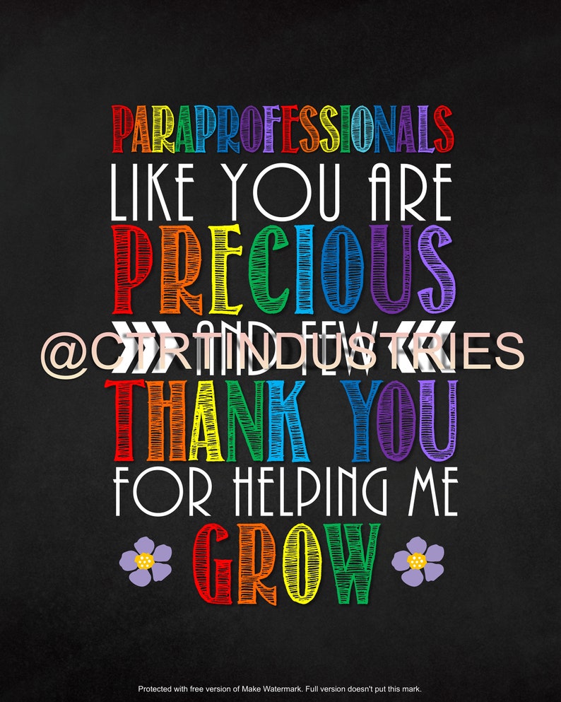 Paraprofessional Appreciation/thank You Gift - Etsy