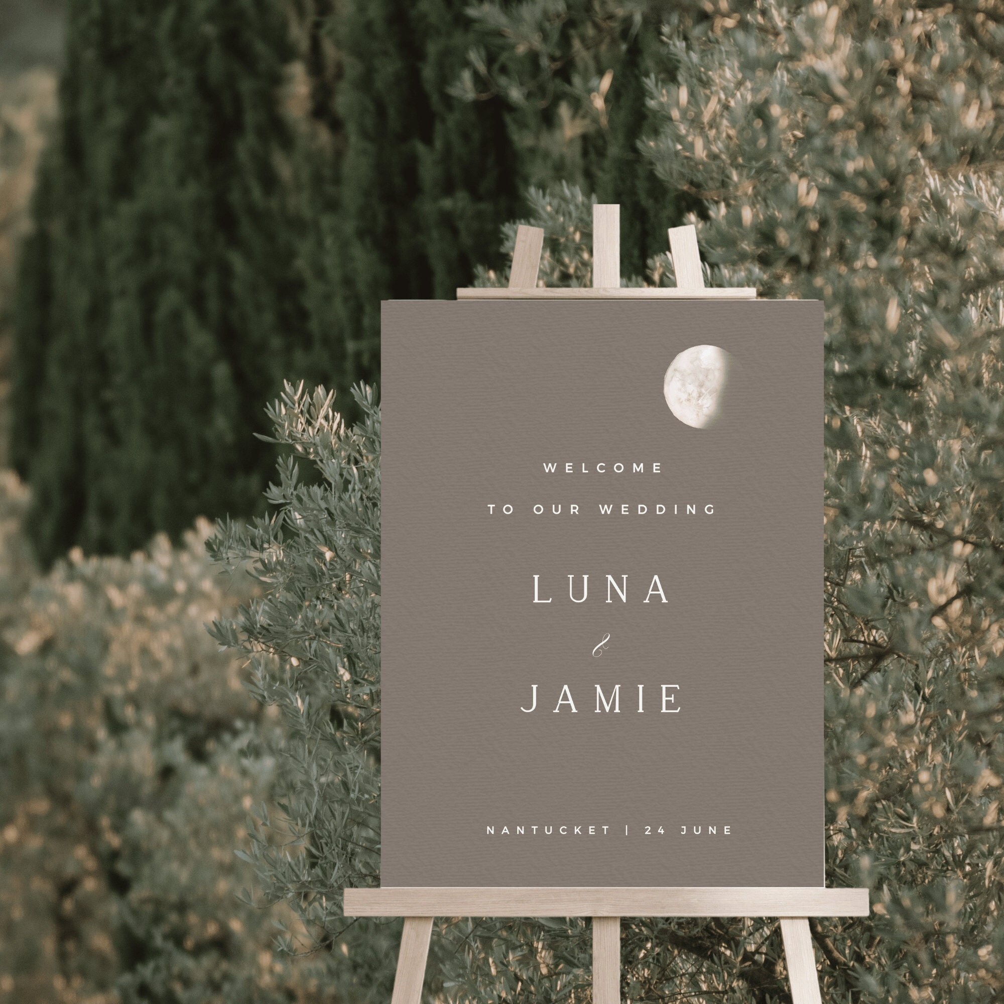 Wedding Welcome Sign, Editable Template Download, Celestial Wedding ...