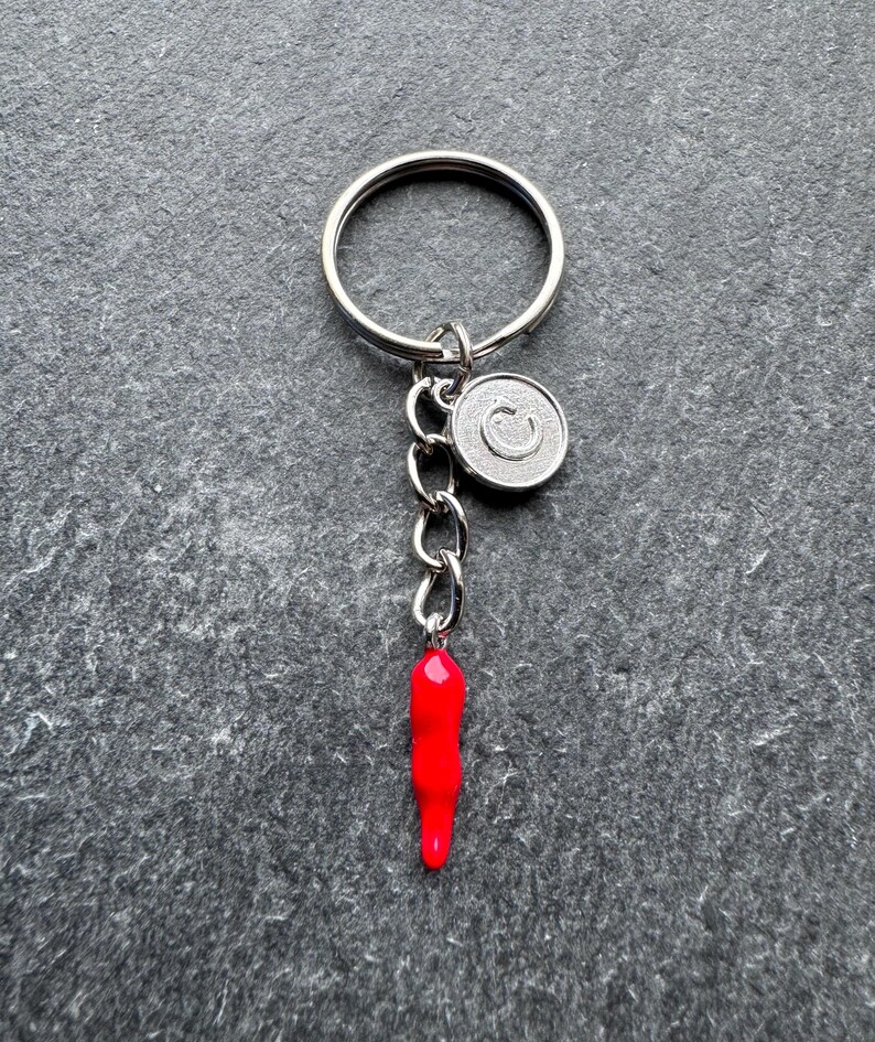 Red Chilli Pepper Gift / Red Chilli Keyring / Green Chilli Gifr ...