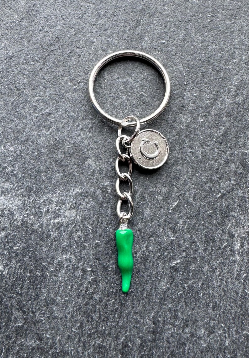 Red Chilli Pepper Gift / Red Chilli Keyring / Green Chilli Gifr ...
