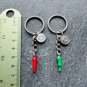 Red Chilli Pepper Gift / Red Chilli Keyring / Green Chilli Gifr ...