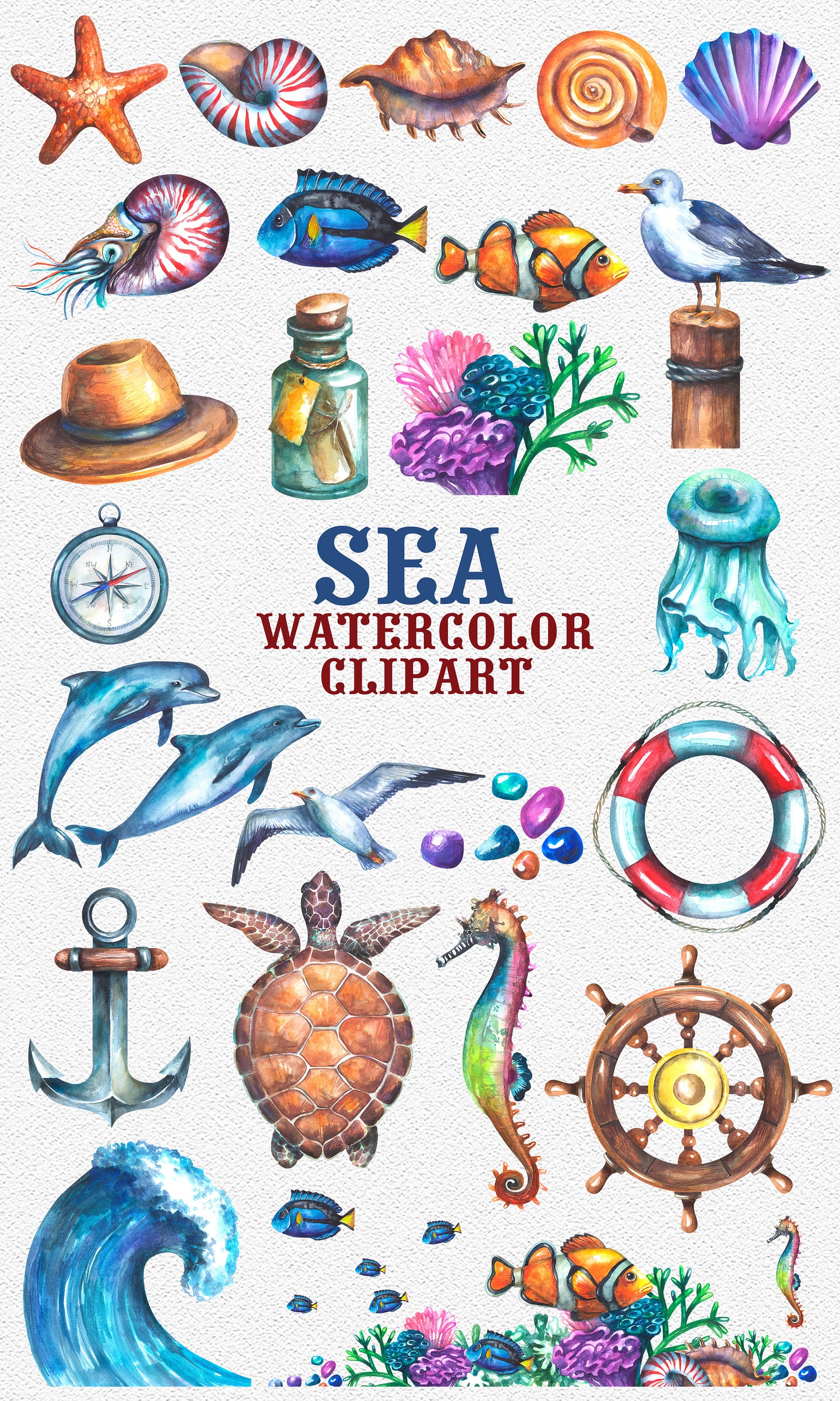 Sea Watercolor Clipart, Sea Life Watercolor, Hand Painted, Seashells ...