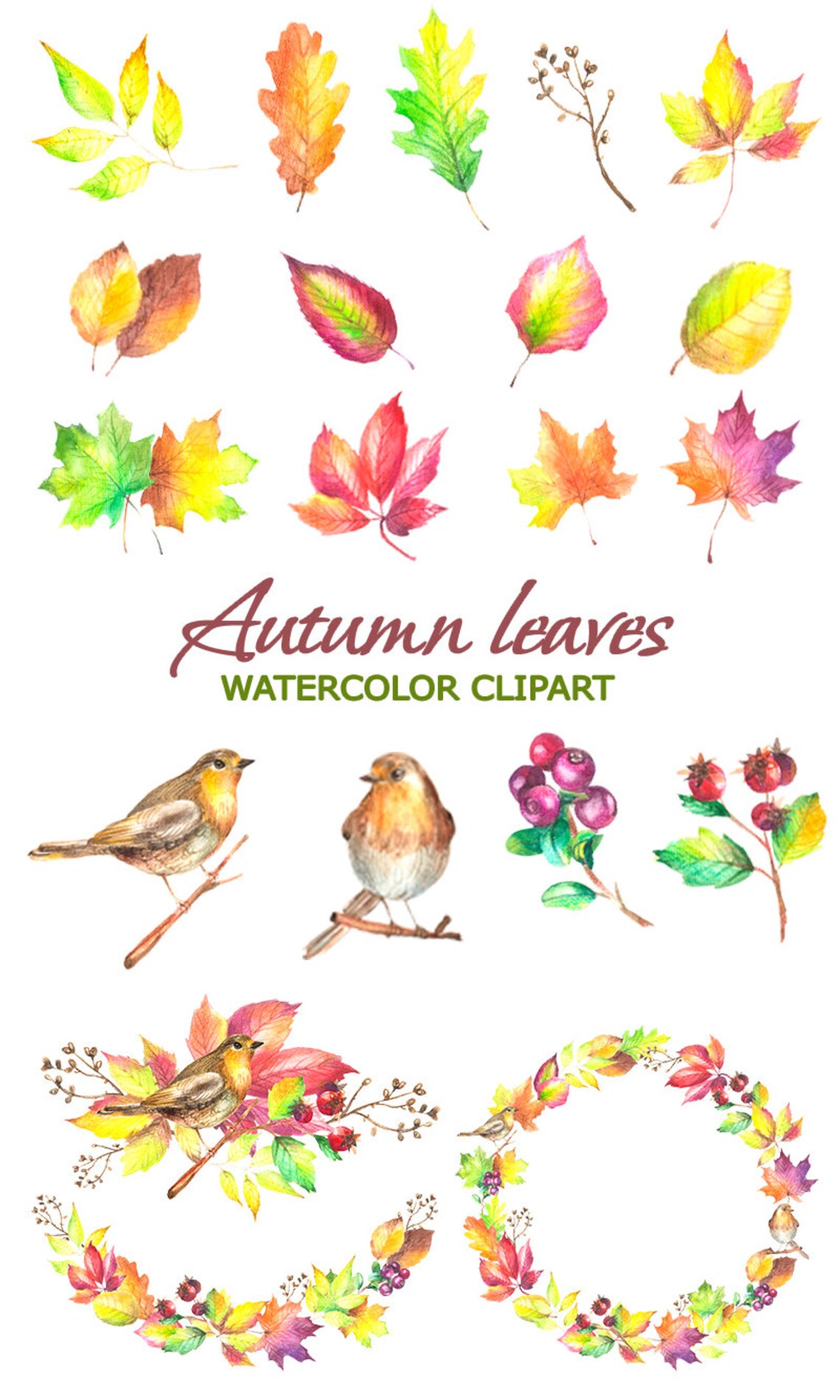 Autumn Leaves Clipart Fall Leaves Watercolor Clipart Leaves Png Autumn ...