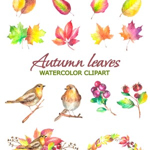 Autumn Leaves Clipart Fall Leaves Watercolor Clipart Leaves Png Autumn ...