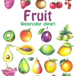 Watercolor Fruits Clipart Fruits Illustration Fruit Clipart Digital ...