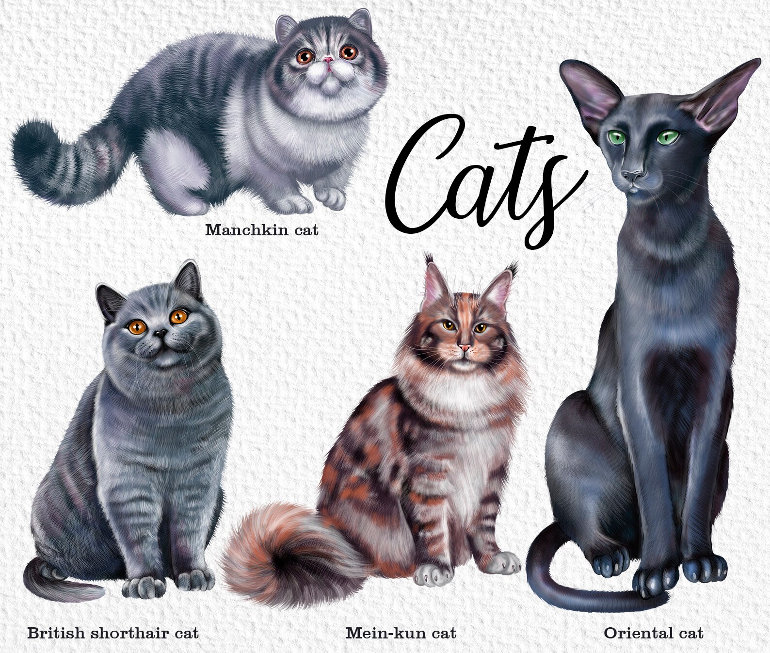 CATS Set Clipart, Cats BUNDLE, Hand Painted, Kittens for Mugs, Cute ...