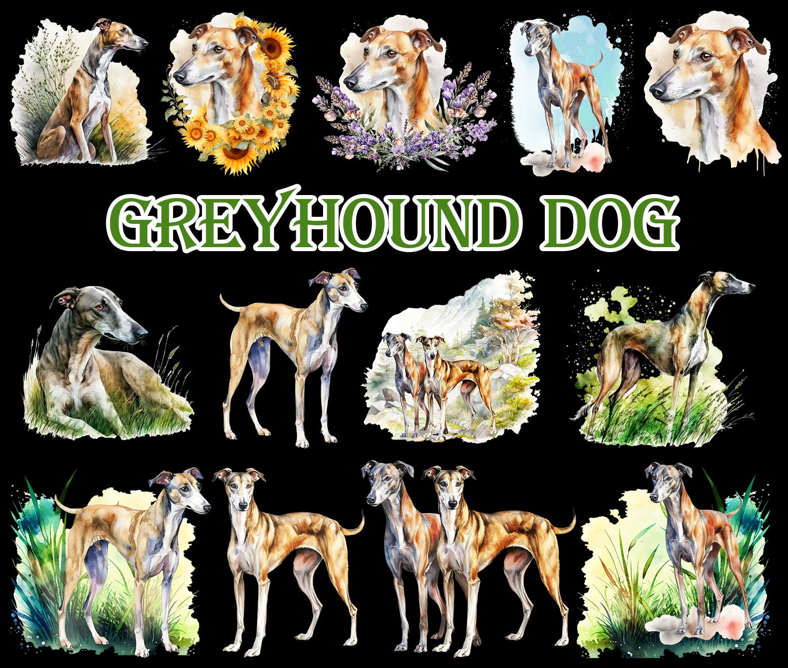 Greyhound Dog Png Watercolor Clipart Greyhound Illustration - Etsy