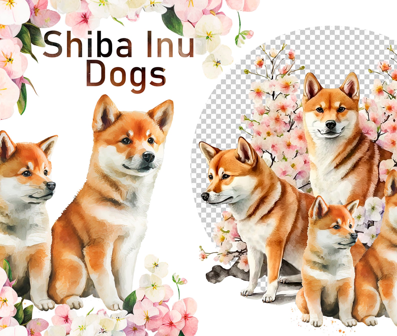 Shiba Inu Dogs Watercolor Clipart Shiba Inu Png Dog - Etsy