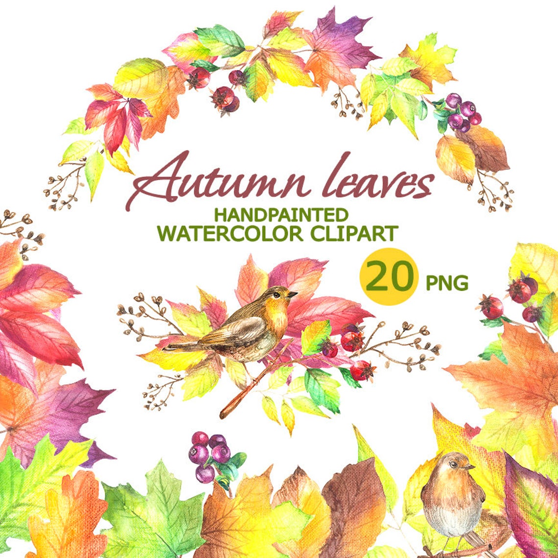 Autumn Leaves Clipart Fall Leaves Watercolor Clipart Leaves Png Autumn ...