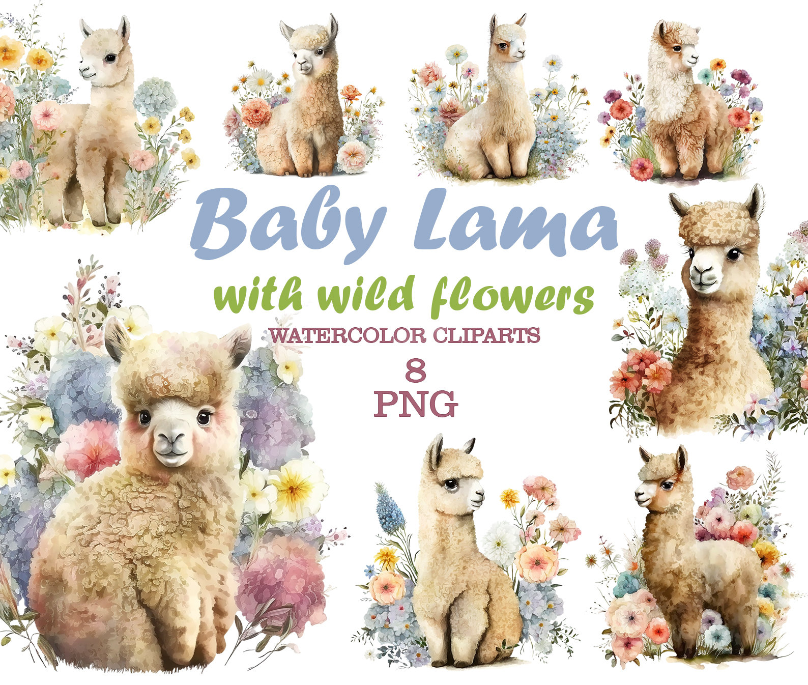 Watercolor Baby Llama Clipart: Alpaca PNG, Wildflowers (digital ...