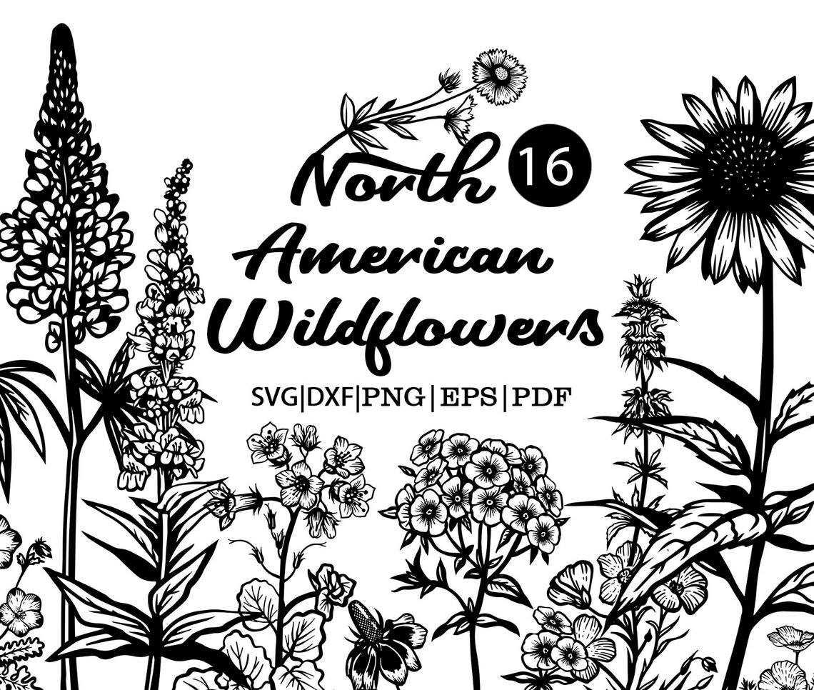 Wildflowers SVG Clipart: Hand Drawn North American Floral Silhouettes ...