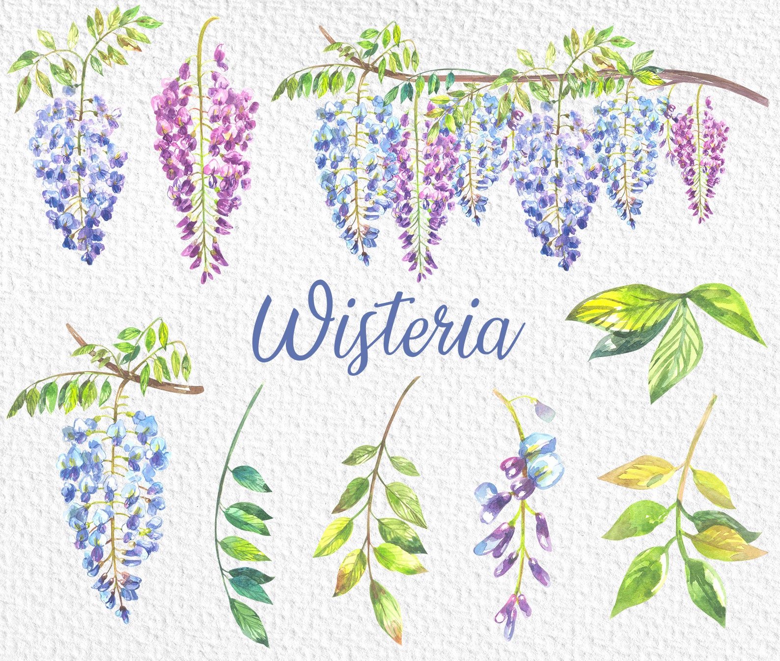 Wisteria Watercolor Flowers Clipart, Wisteria Png, Wedding Floral ...