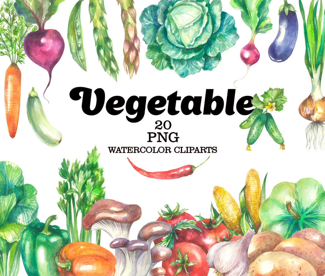 Watercolor Vegetable Clipart, Food Png Clipart, Kitchen Clipart, Farm ...