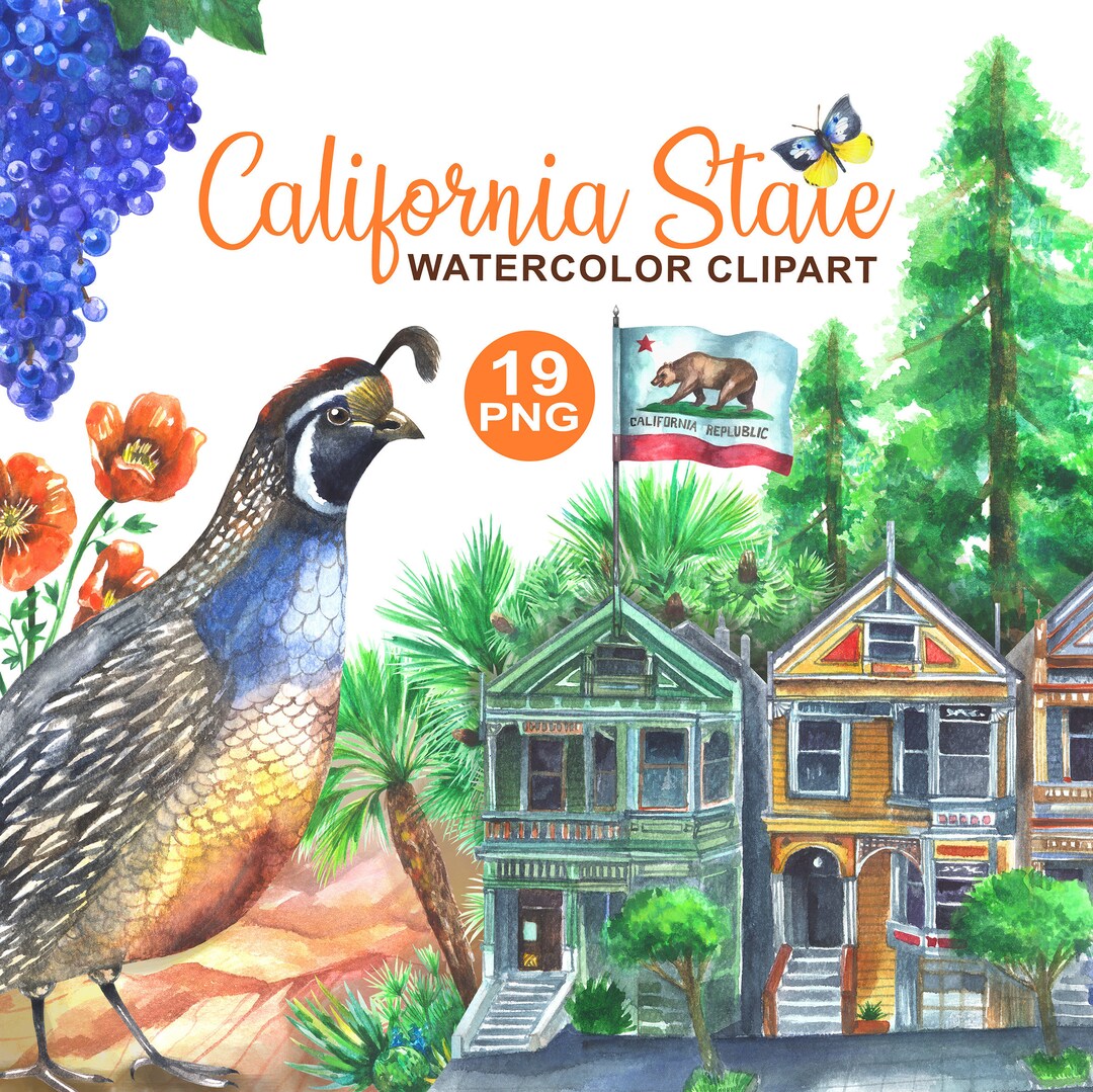 California State Clipart, Watercolor Png, California State Symbols ...