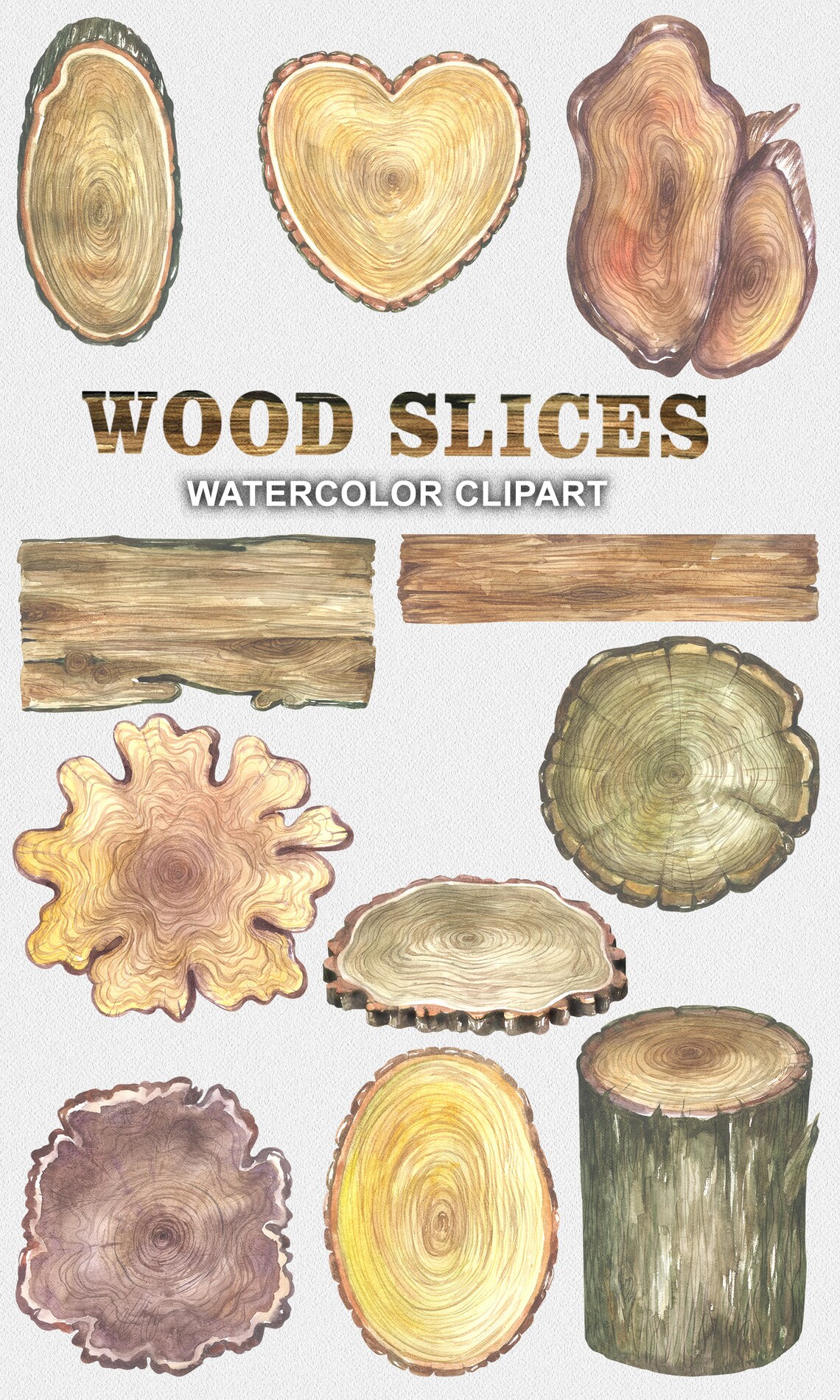 Wood Slices Watercolor Clipart Wooden Frames Forest Decor - Etsy