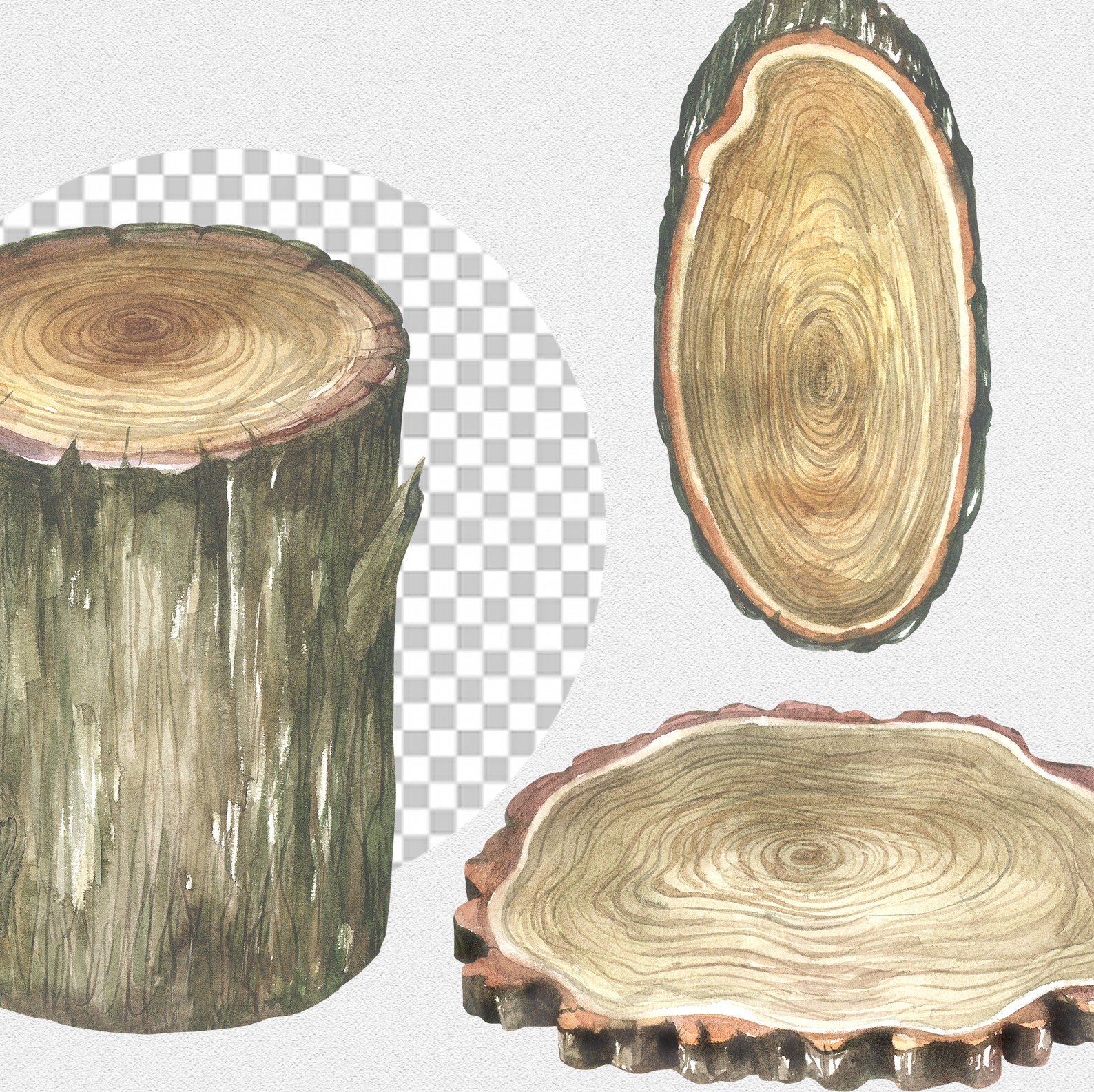 Wood Slices Watercolor Clipart, Wooden Frames, Forest Decor, Rustic ...