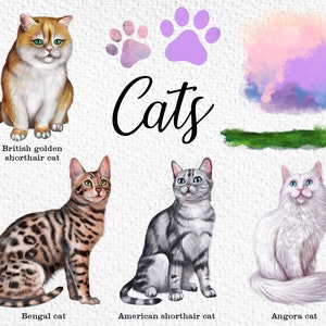 CATS Set Clipart, Cats BUNDLE, Hand Painted, Kittens for Mugs, Cute ...