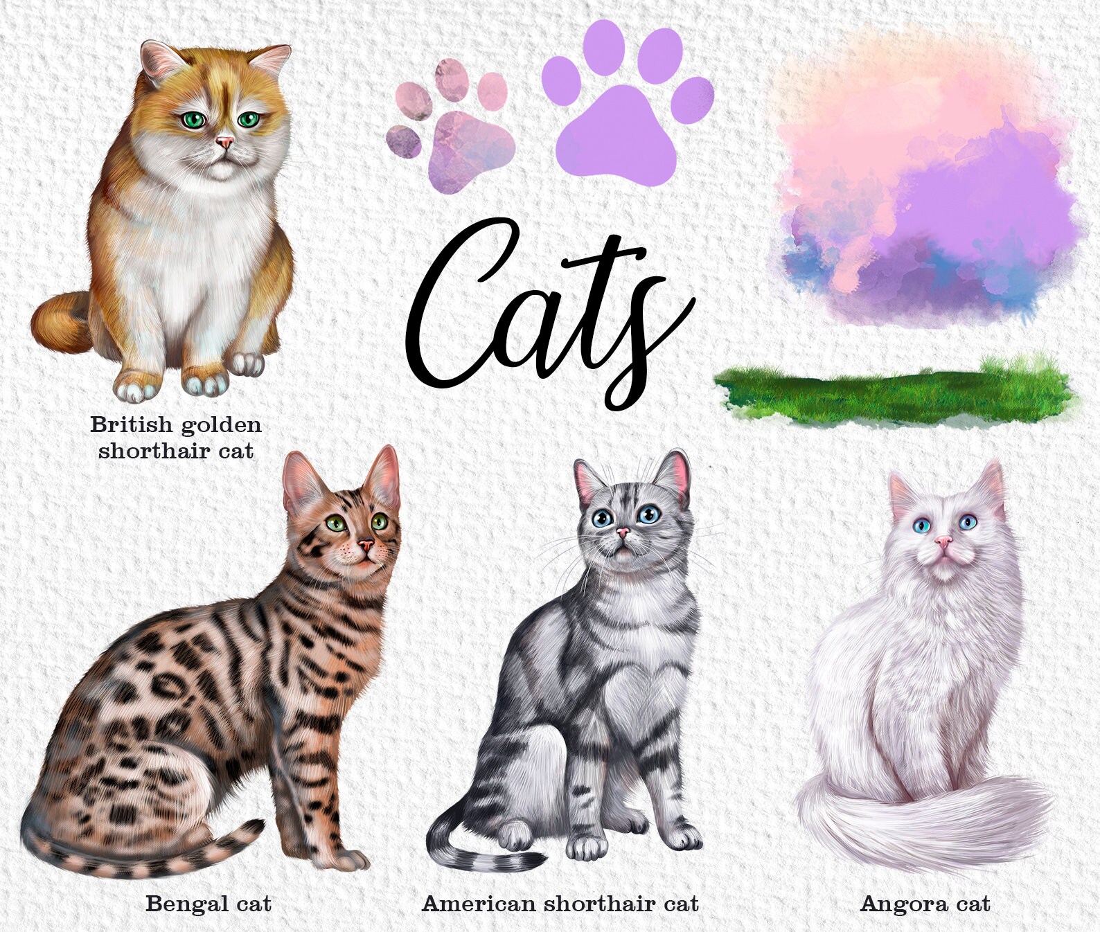 CATS Set Clipart, Cats BUNDLE, Hand Painted, Kittens for Mugs, Cute ...
