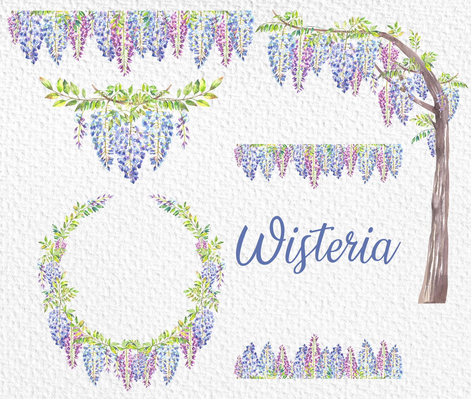 Wisteria Watercolor Flowers Clipart Wisteria Png Wedding - Etsy