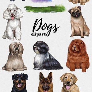 DOGS Set Clipart, Dogs BUNDLE, Hand Painted, Puppies for Mugs, Cute ...