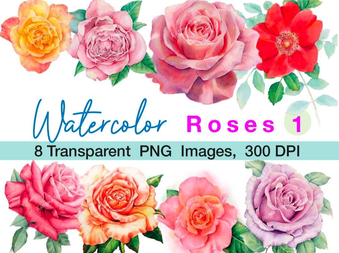 Watercolor Roses Clipart, Digital Download ,watercolors, Roses Clipart ...