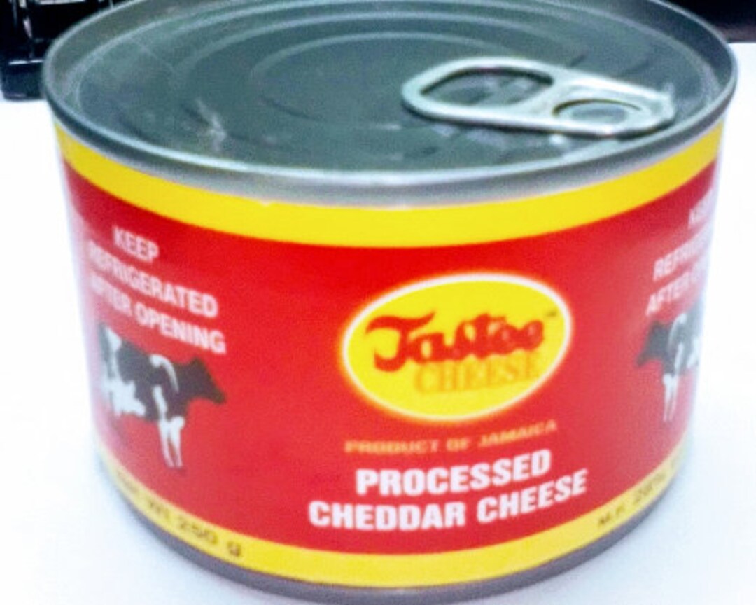 Tastee Cheese FREE SHIPPING - Etsy