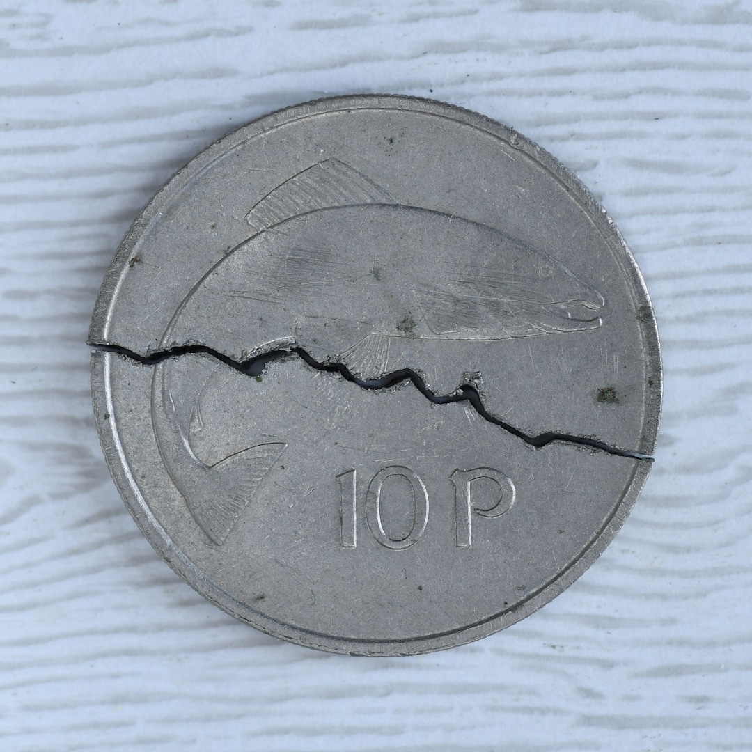 1969 Ireland 10 Pence Coin 10p Atlantic Salmon Sawed in Half Magic ...