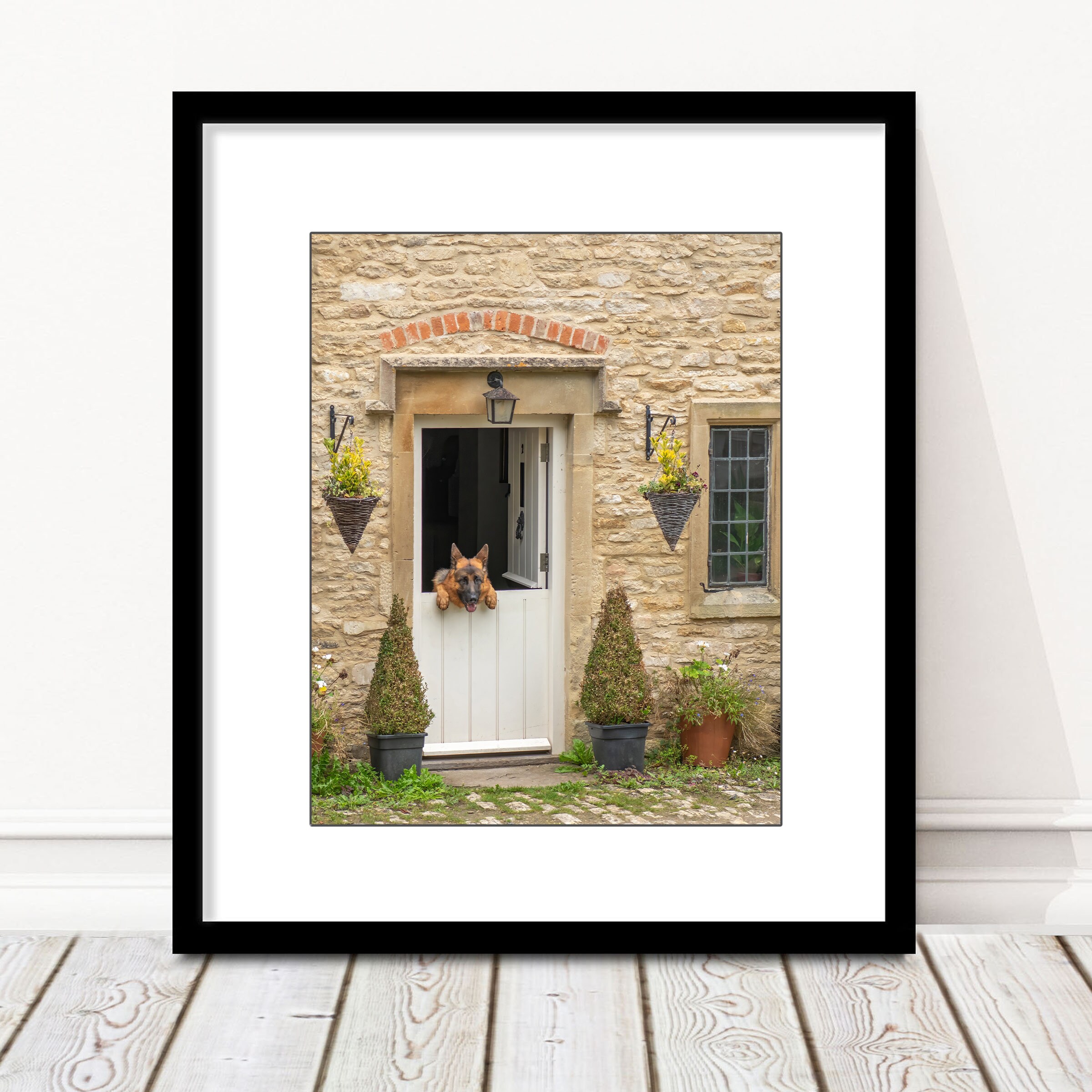 Door Photography - German Shephard Photo, Wooden Door Print, Cotswolds ...