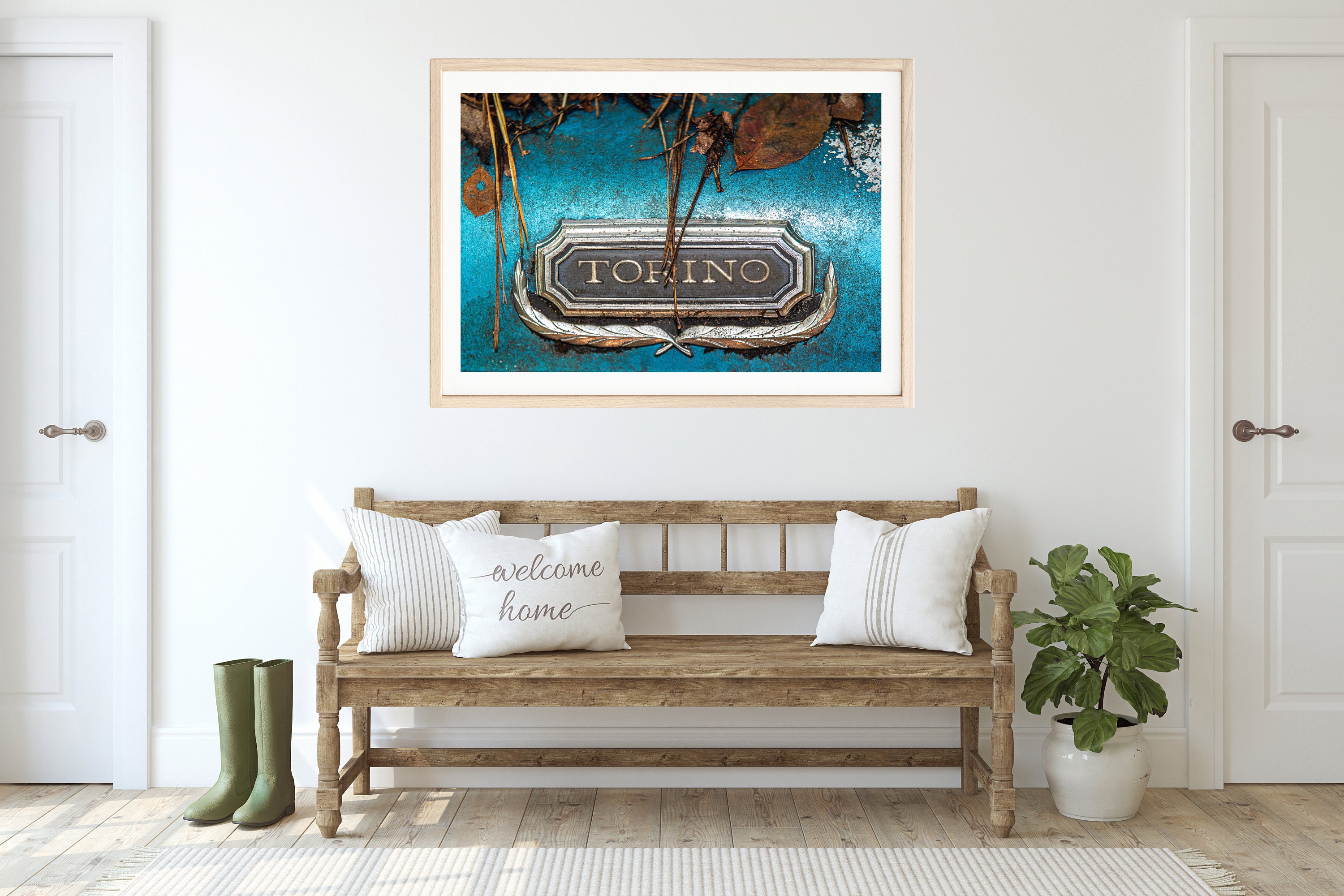 1965 Ford Torino Classic Car Photography, Torino Emblem, Abandoned Car ...