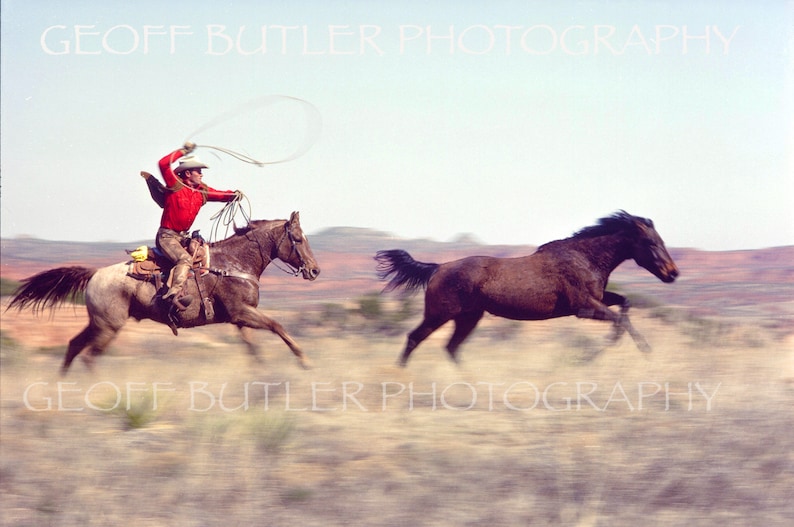 Cowboy Photography - Cowboy Roping Horse, Rustic Print, Farmhouse Decor ...