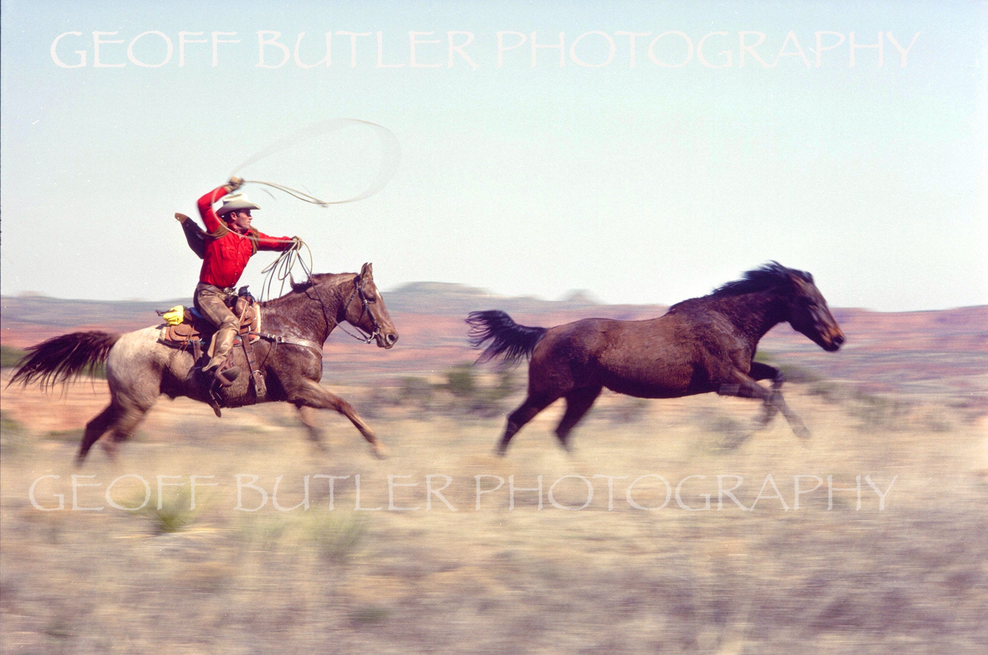 Cowboy Photography - Cowboy Roping Horse, Rustic Print, Farmhouse Decor ...