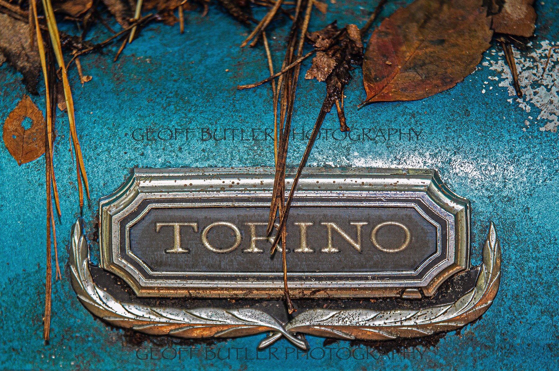 1965 Ford Torino Classic Car Photography, Torino Emblem, Abandoned Car ...