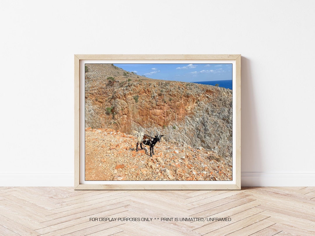Goat Photography - Black Goat, Crete Mountain Goat, Crete Travel ...