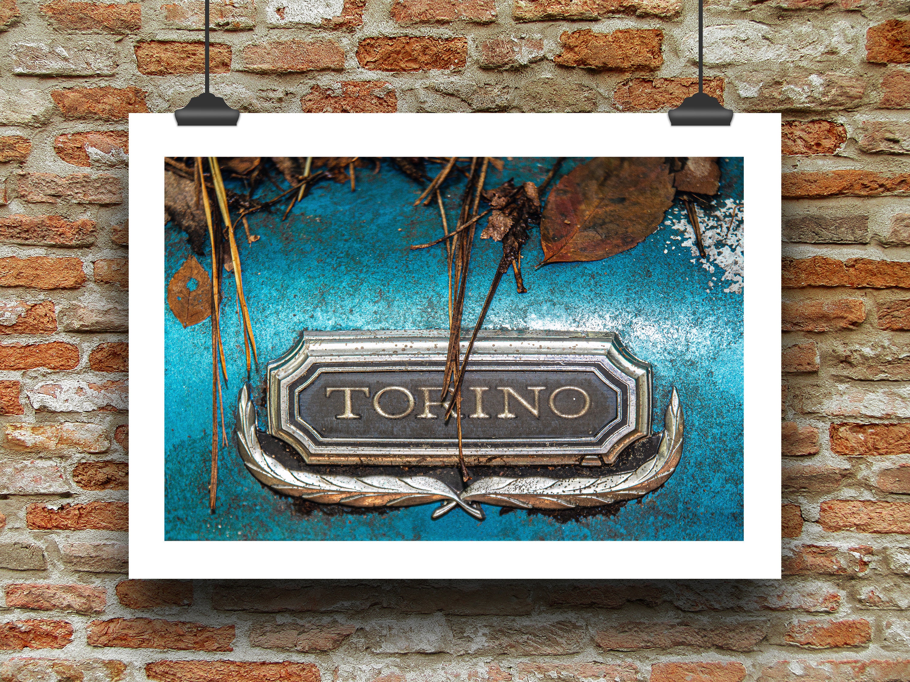 1965 Ford Torino - Classic Car Photography, Torino Emblem, Abandoned ...