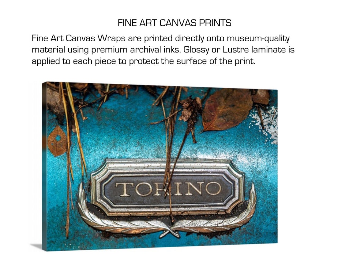 1965 Ford Torino Classic Car Photography Torino Emblem - Etsy