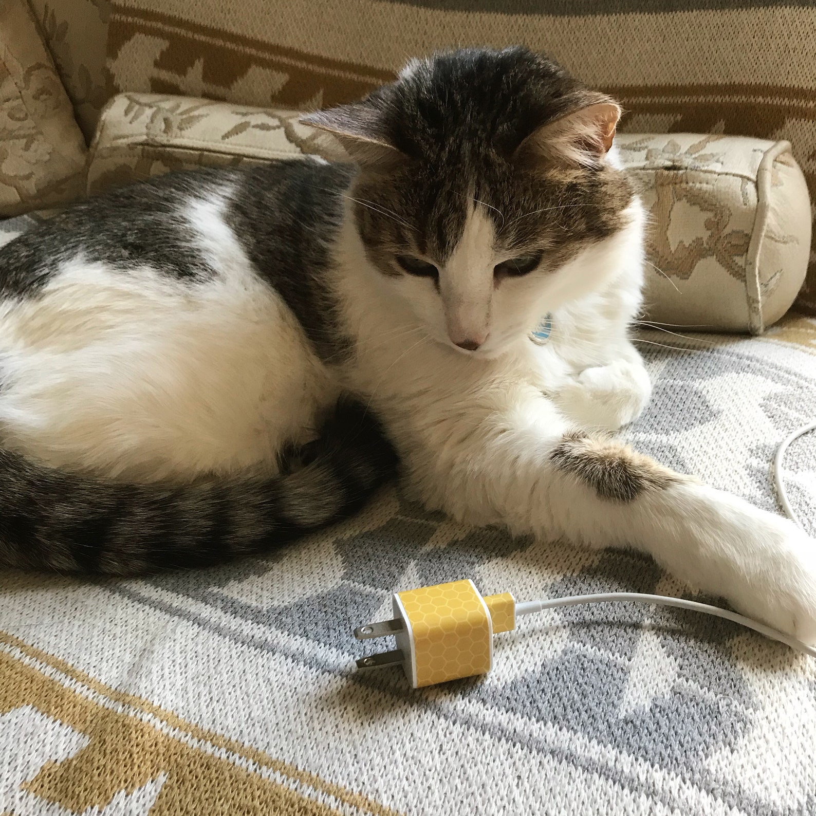 IPhone Charger Decal - Honeycomb Design - Colorful and Fun Gift for ...