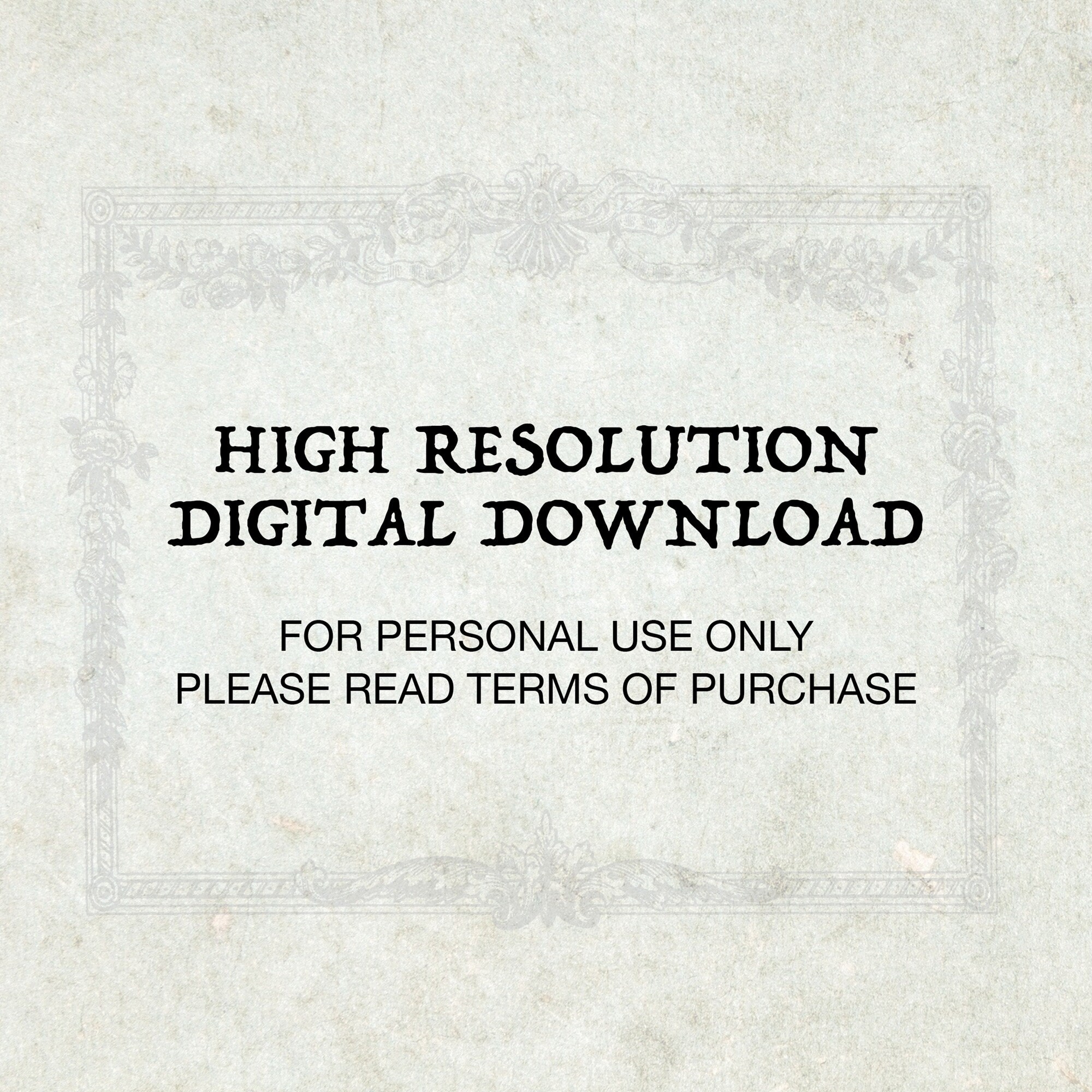 DIGITAL Halloween Potion Bottle Labels / Mermaid Tears / Siren Song ...