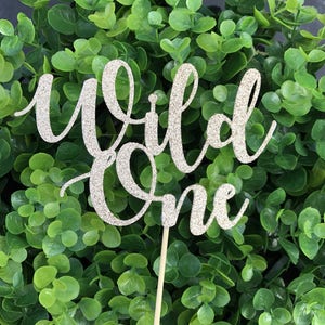 Wild One Cake Topper, Wild One Cake, Wild One Birthday, First Birthday ...