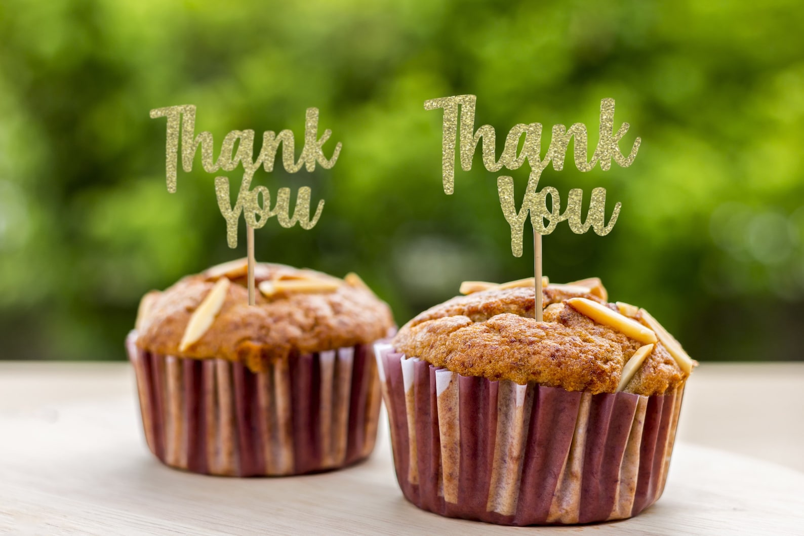 Thank You Cupcake Toppers, Thank You Decor, Custom Cupcake Toppers ...