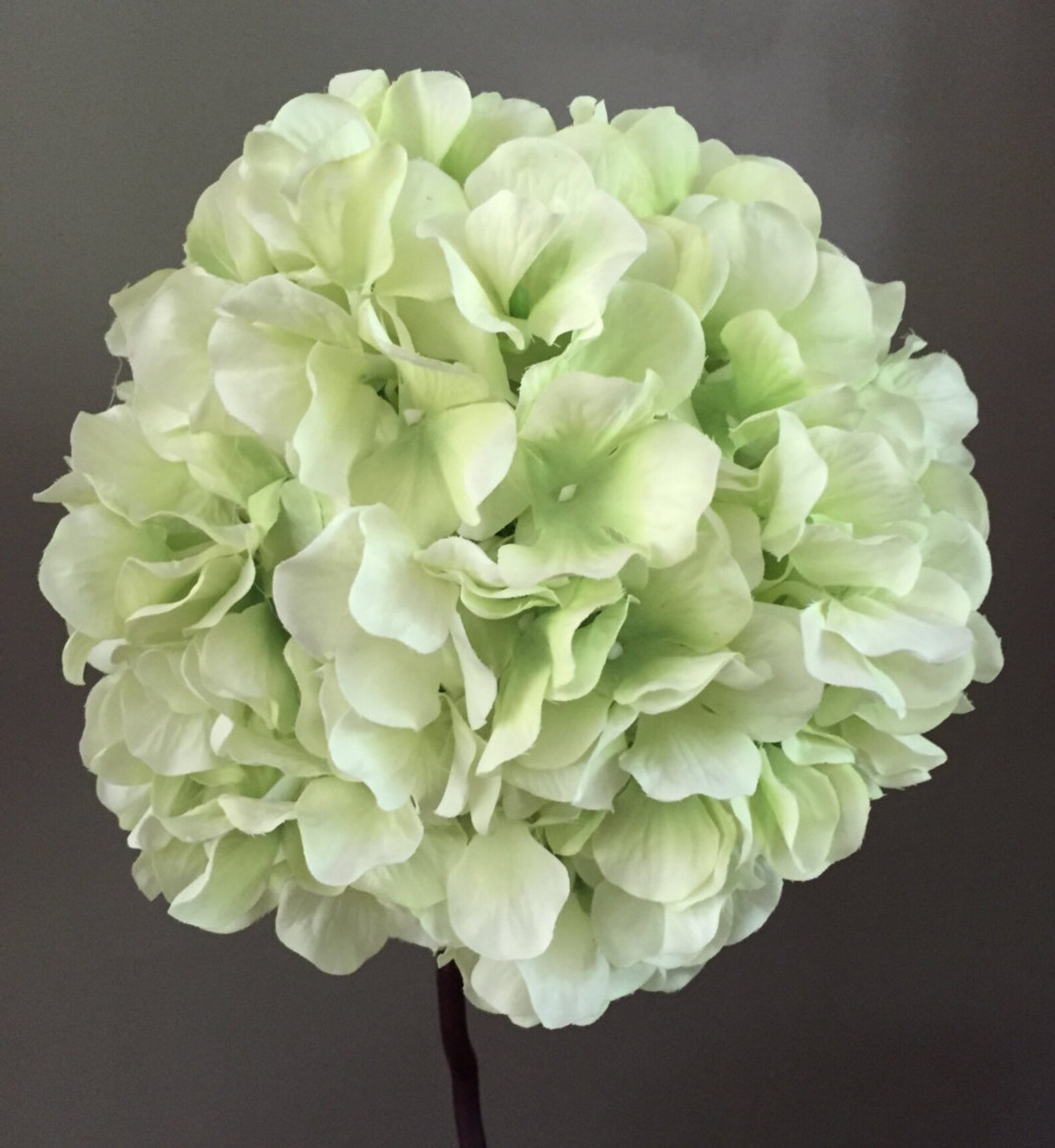 Hydrangea Topiary - Etsy