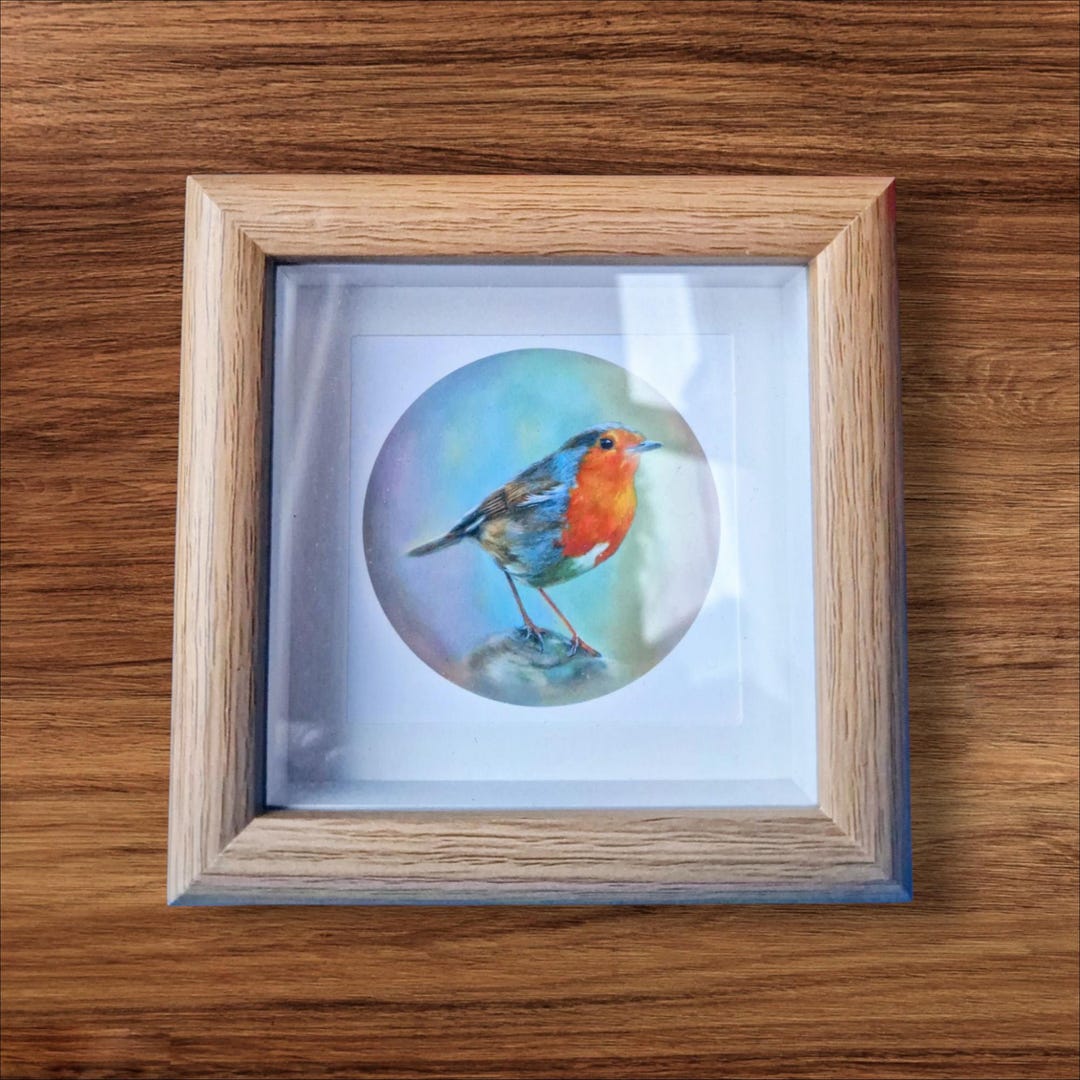 Miniature Robin Art Print, Framed Bird Artwork, Jess Harris Painting - Etsy