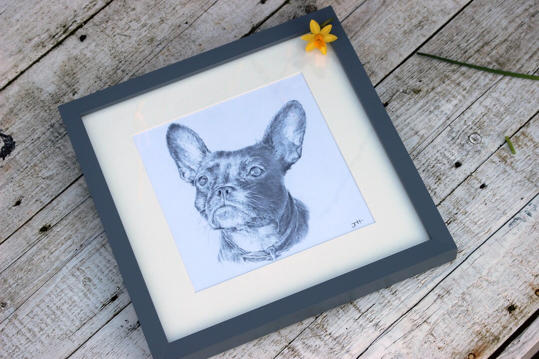 Custom Hand-drawn Biro Portrait: People & Pets, Jess Harris Artwork - Etsy