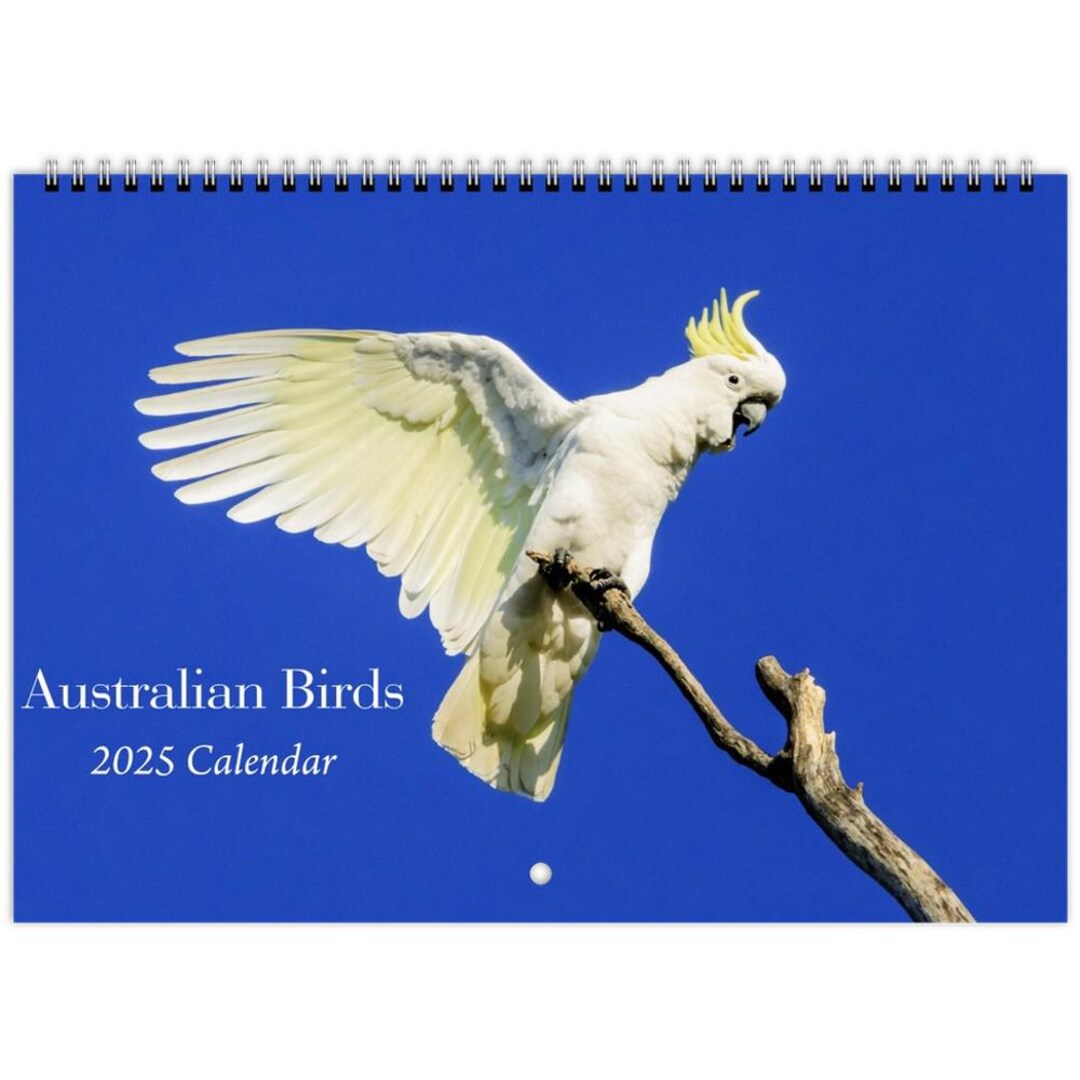 Wall Calendars 2025 EU & Rest of World - Etsy Australia