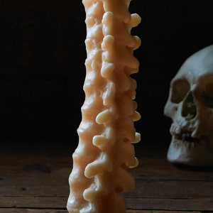 Spine Candle Halloween Candles Creepy Candles Halloween Decor Fall ...
